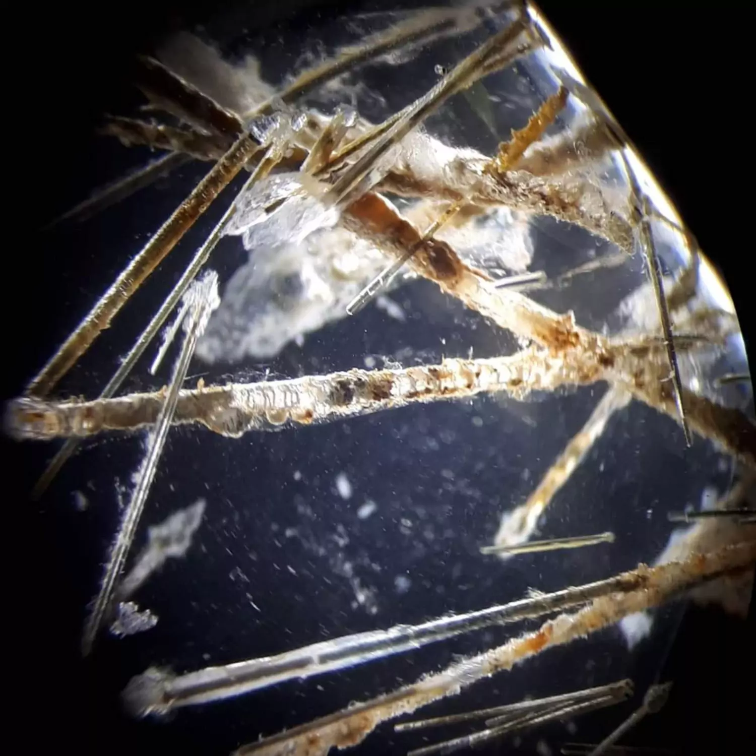 What are Gemstone Inclusions?